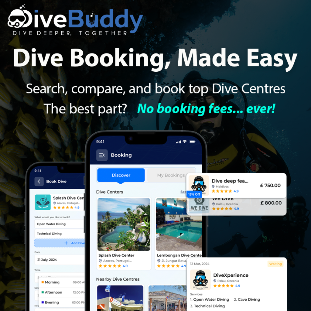 A Beginner’s Guide to Diver Training Organisations: How to Choose the ...